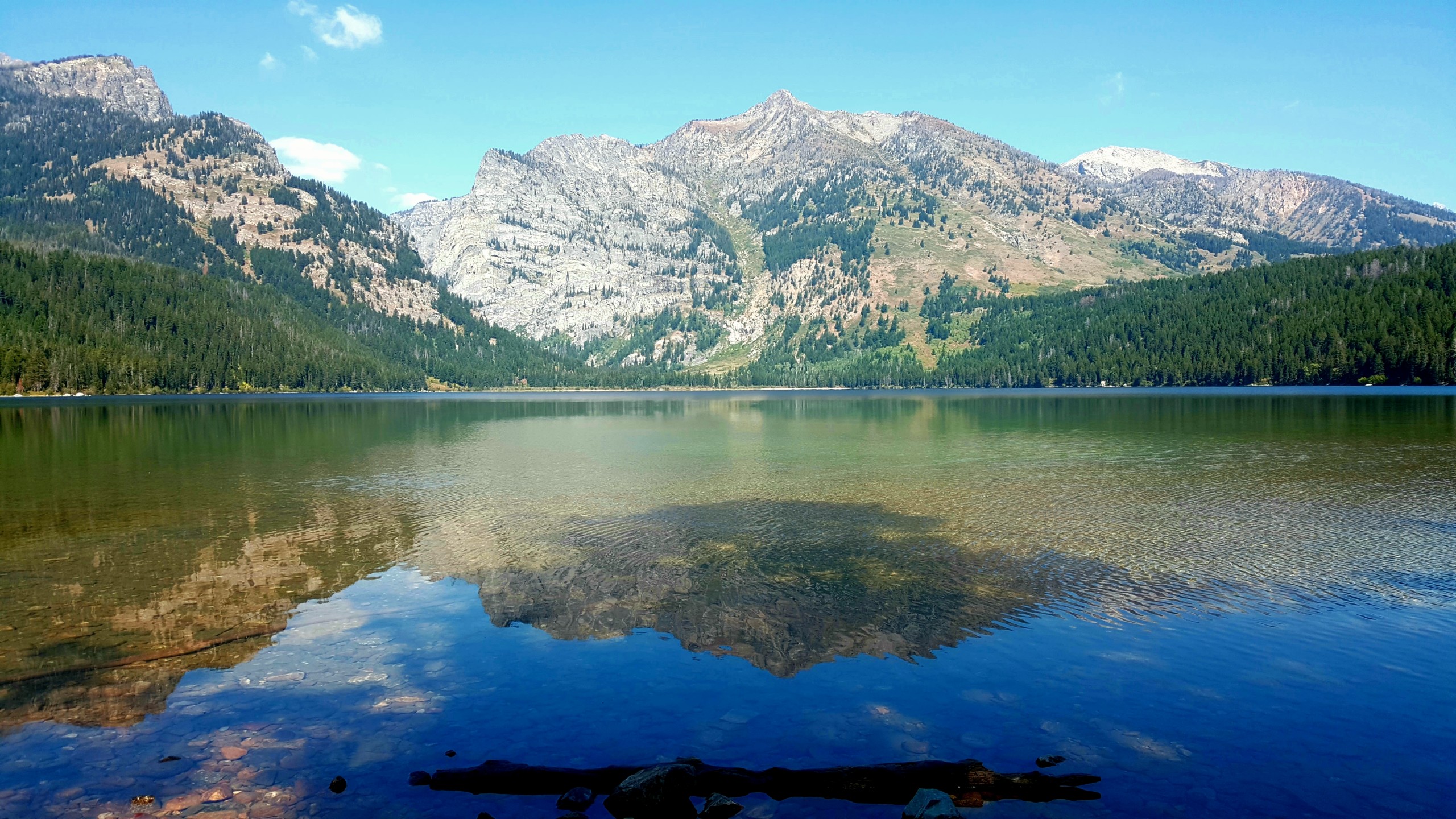 10 Ideas To Jump Start Positive Feedback Loops – Mind Power Grow